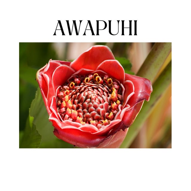 Awapuhi